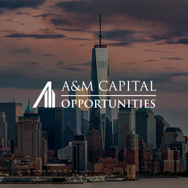 A&M CAPITAL PARTNERS