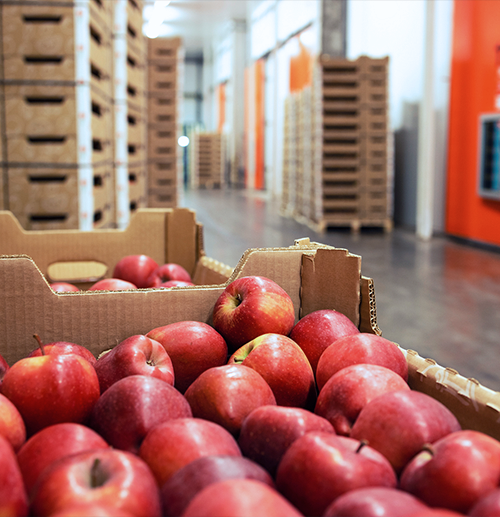 Alvarez & Marsal Capital: Multi-Strategy Private Equity Investments ...