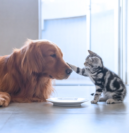 Alvarez & Marsal Capital: Multi-Strategy Private Equity Investments ...