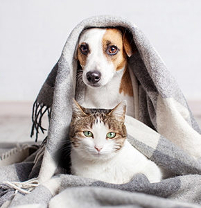 Alvarez & Marsal Capital: Multi-Strategy Private Equity Investments ...